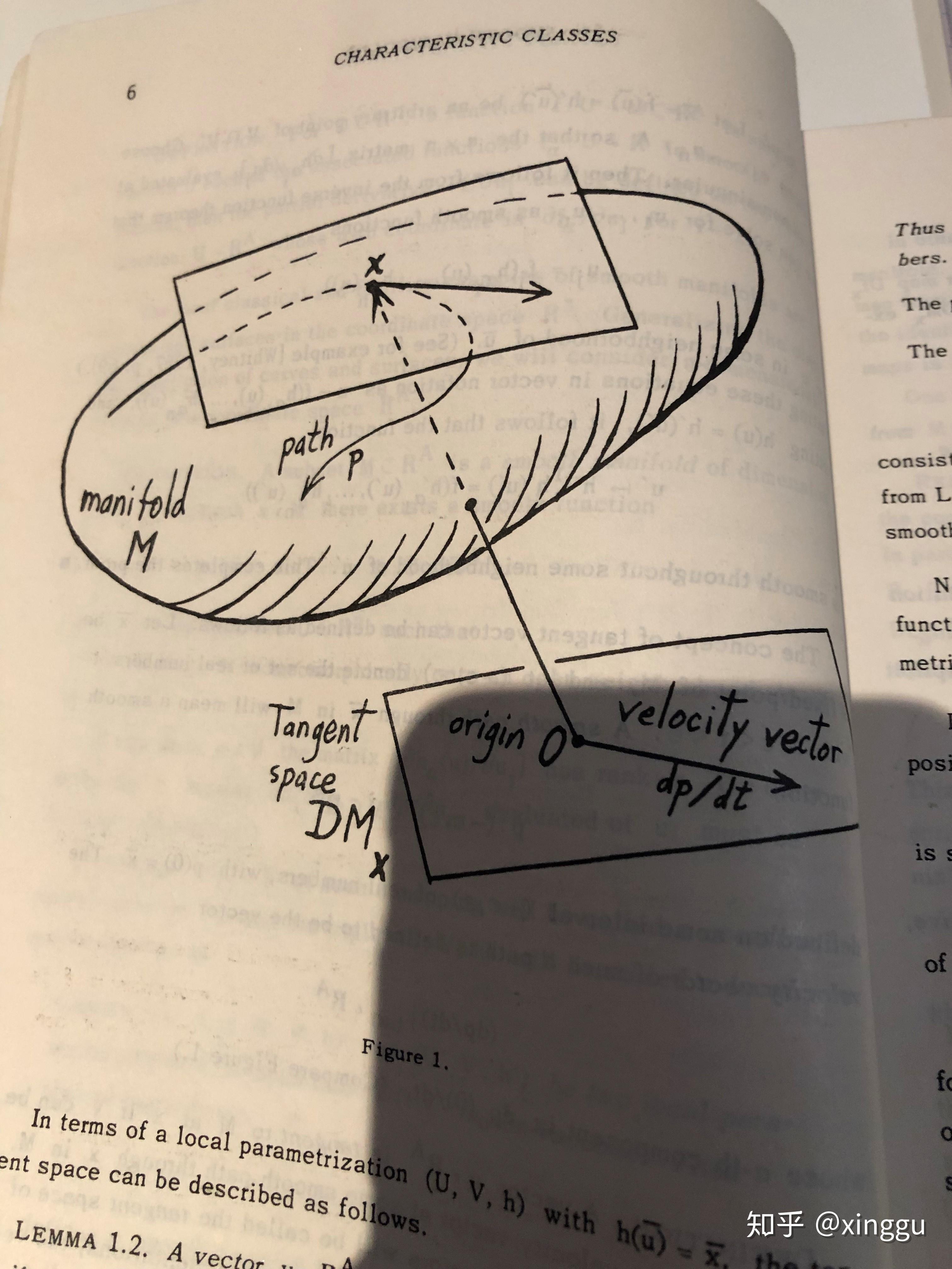 如何理解tangent/vector bundle、vector field和section的关系？ - 知乎