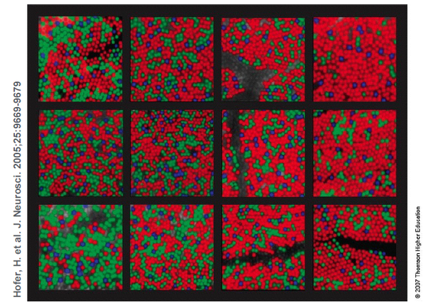 Understanding Image Sensor Metamerism - 知乎