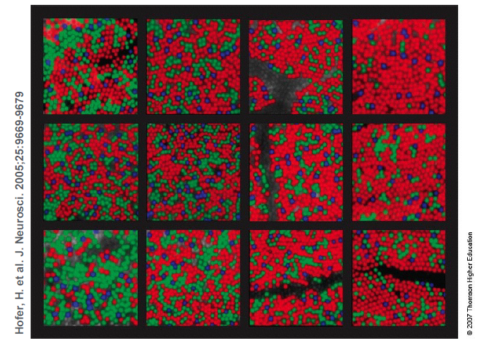 Understanding Image Sensor Metamerism - 知乎