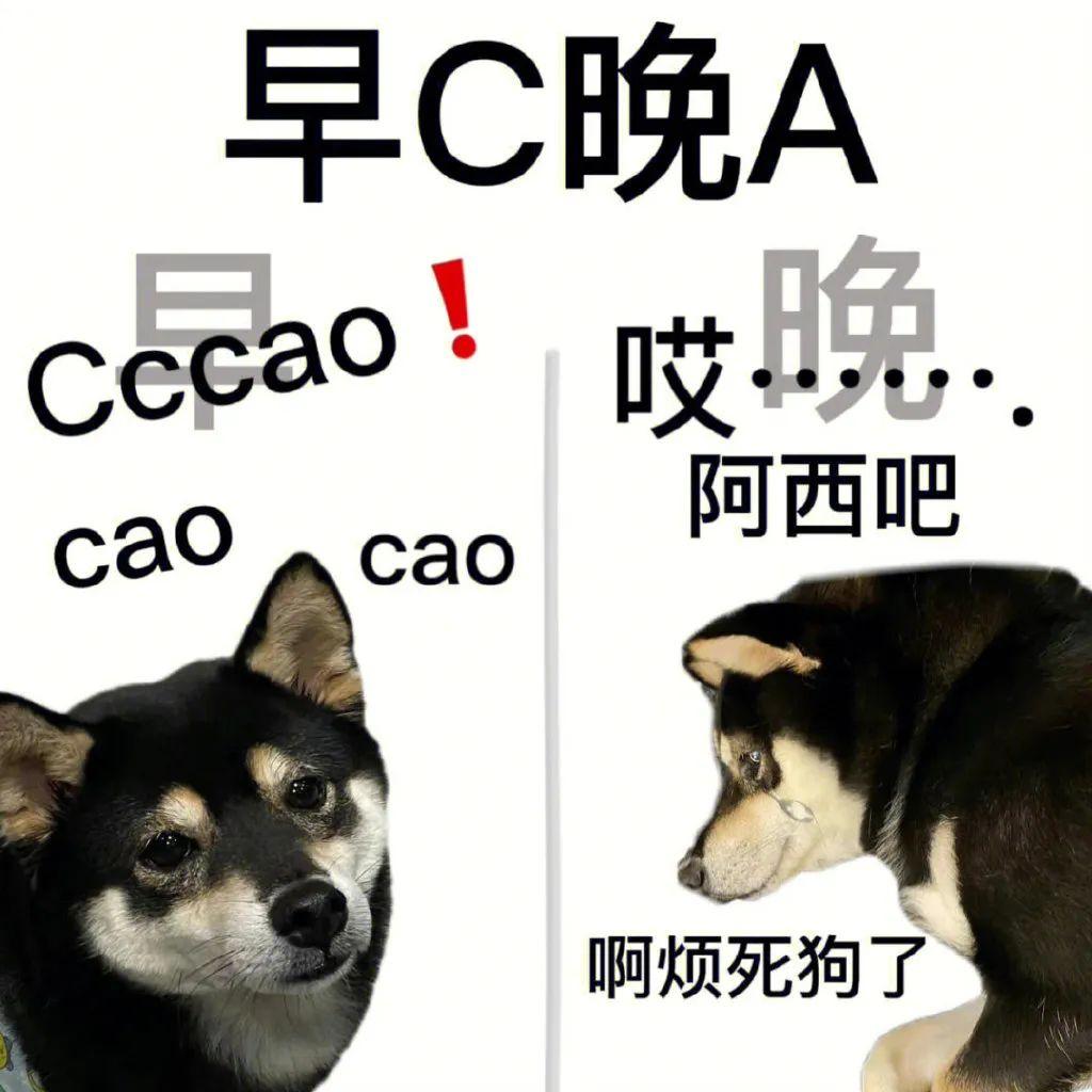 发疯发癫的表情包 - 知乎