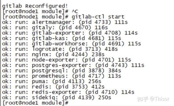 在Windows 11上搭建GitLab - 知乎