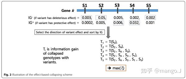 【学习笔记】GxGrare:基于GMDR对罕见变异进行基因-基因相互作用分析 - 知乎