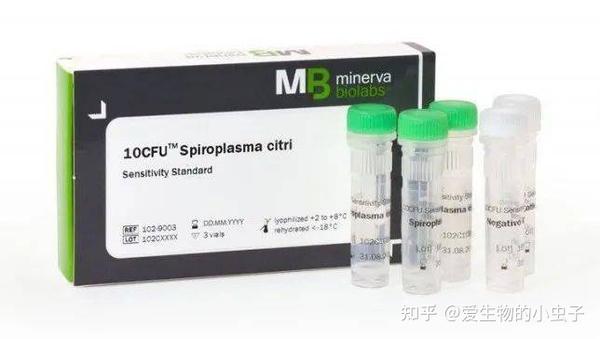 『支原体标准品』质控大揭秘 - 知乎
