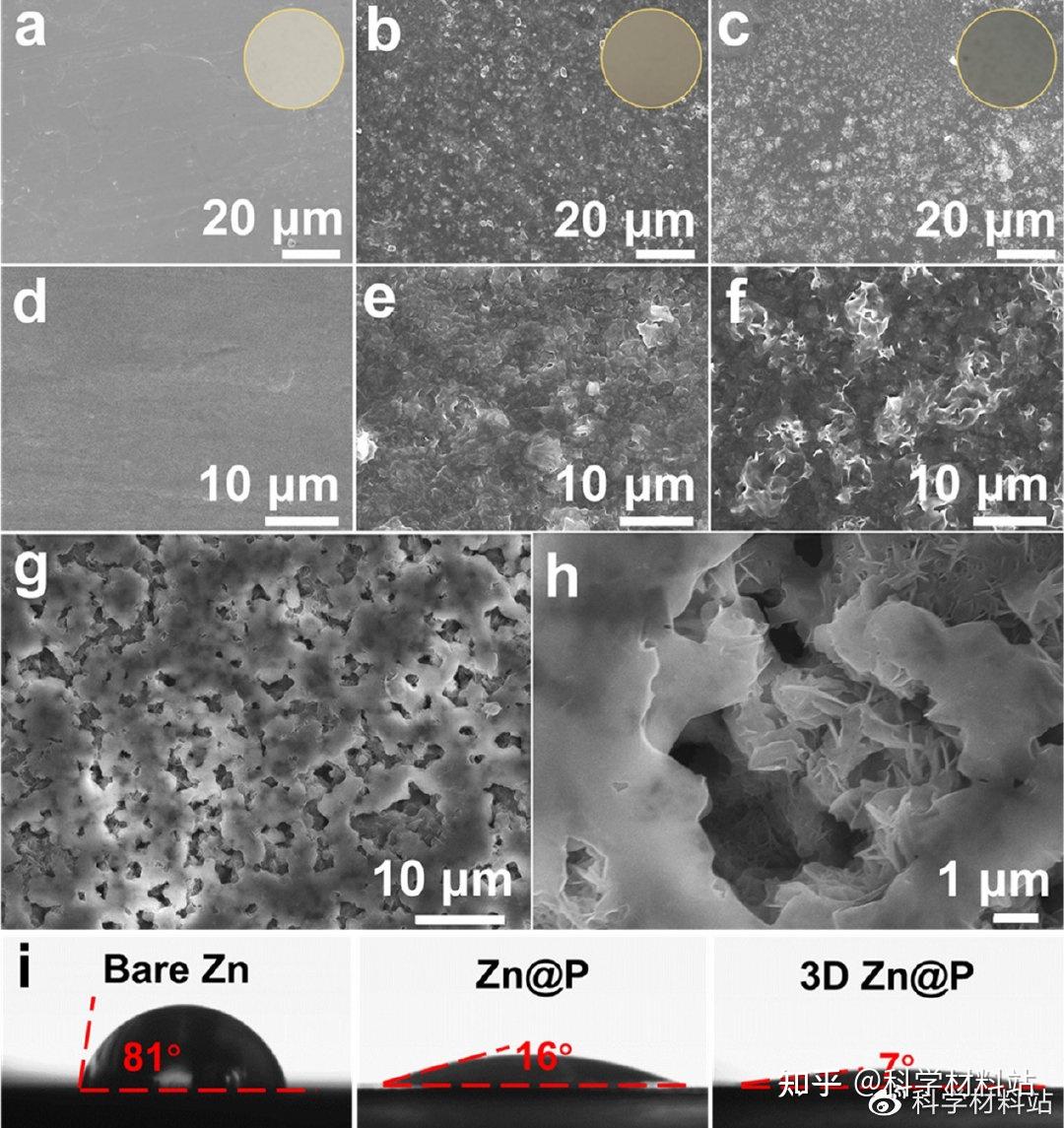长春理工大学王昕璐副教授、东北师范大学刘东涛教授AFM：碘刻蚀策略原位构筑膜包覆的三维多孔锌负极 - 知乎