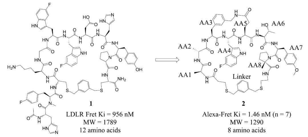 来源于噬菌体和mRNA展示的环肽：Peginesatide，MK-0616 - 知乎