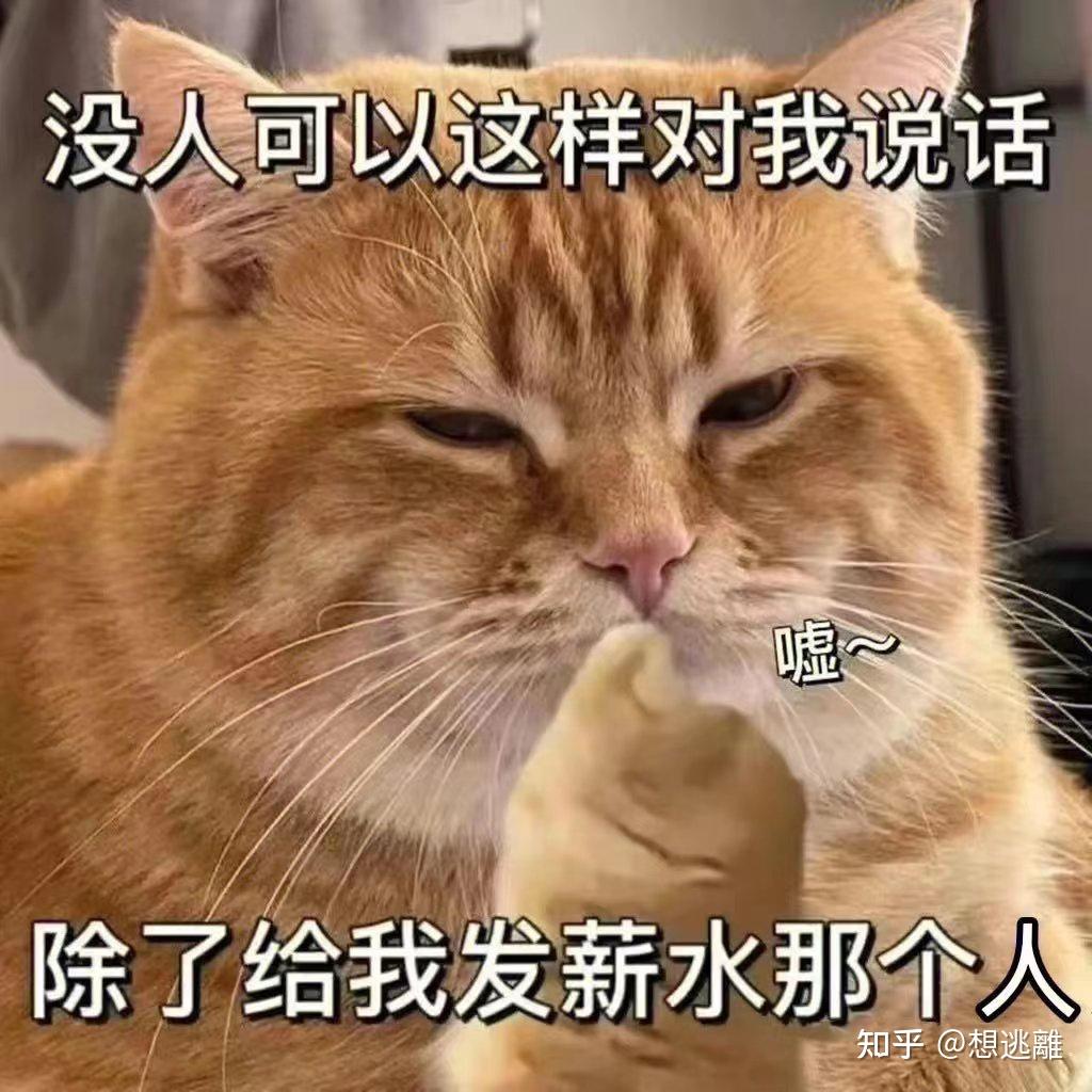 斗图必备搞笑表情包|啊对对对 你说的都对 - 知乎