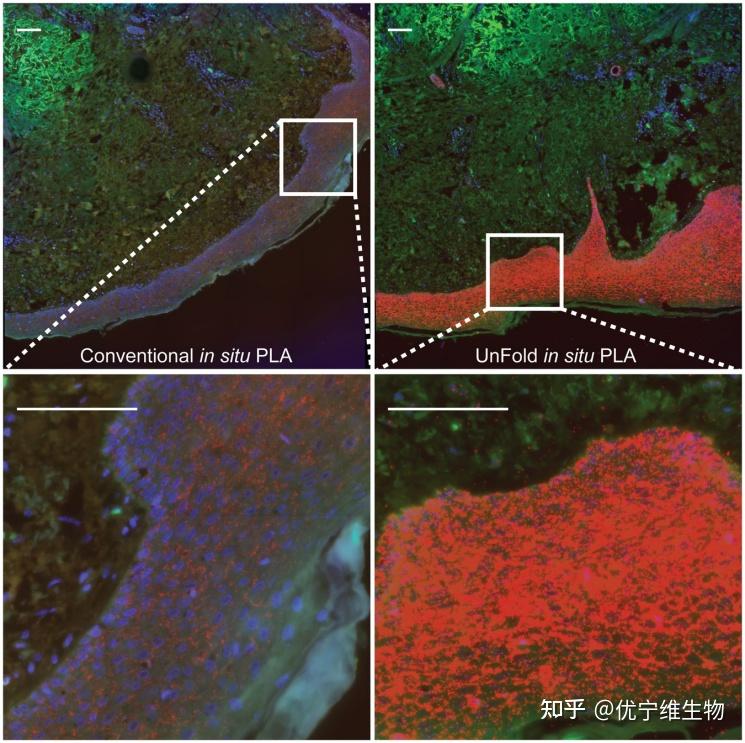 科研干货！Naveni PLA技术&现有文献部分解析 - 知乎
