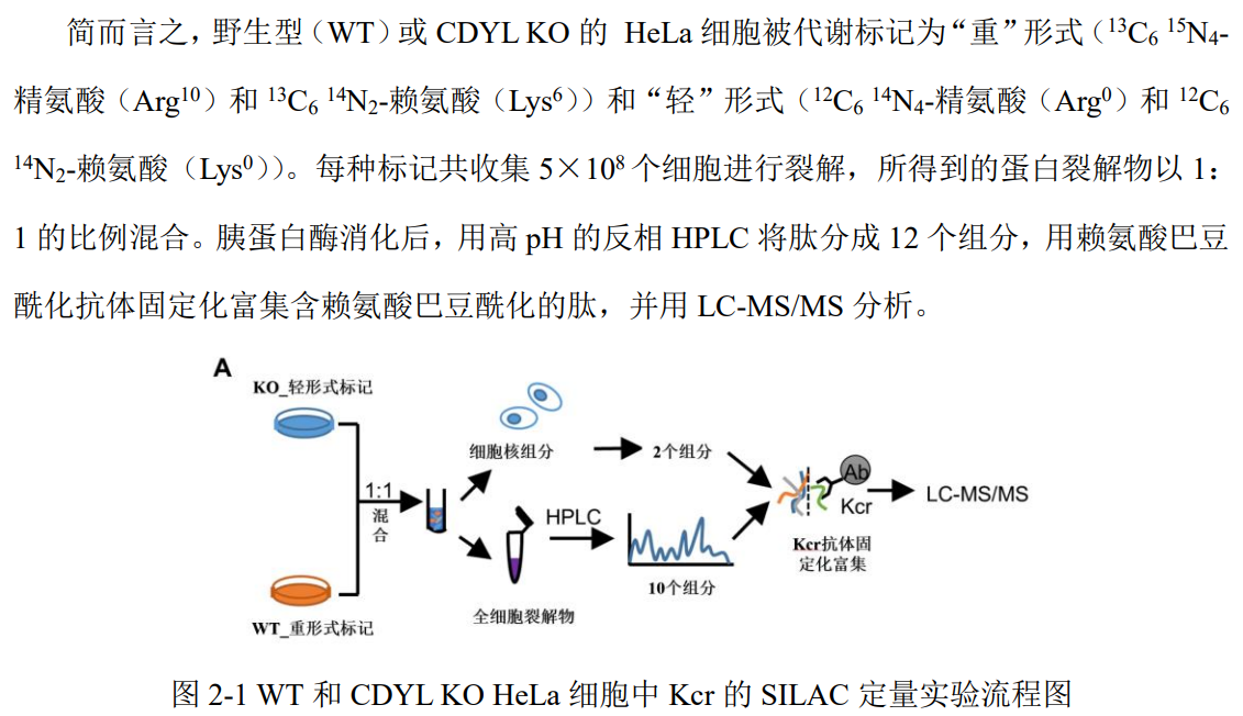 MaxQuant 用于对大型 SILAC 数据集进行深入分析 - 知乎