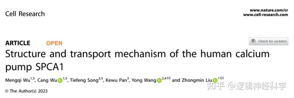郭江涛/周强点评 Cell Research︱刘忠民/王勇团队合作揭示了人源SPCA1蛋白转运钙离子的工作机制 - 知乎