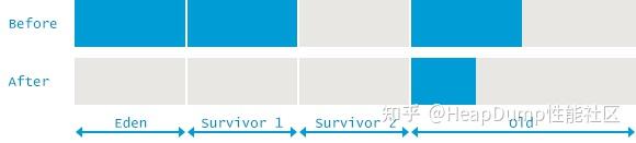 Java垃圾回收GC 算法实现：串行GC篇 - 知乎
