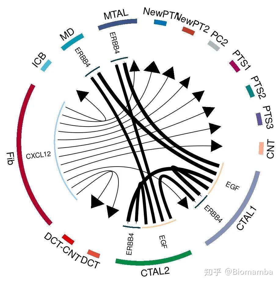 scRNA-Seq细胞通讯之《iTalk学习手册》 - 知乎