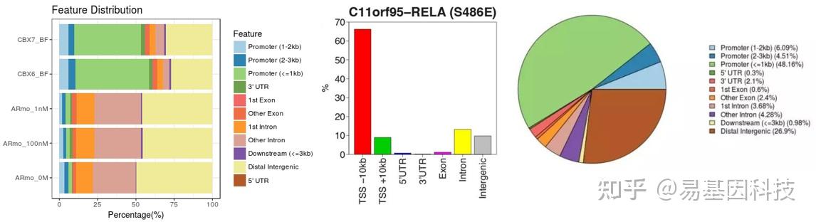 ChIP-seq应用领域、研究思路、数据挖掘、下游实验、实验关键 | 易讲堂 - 知乎