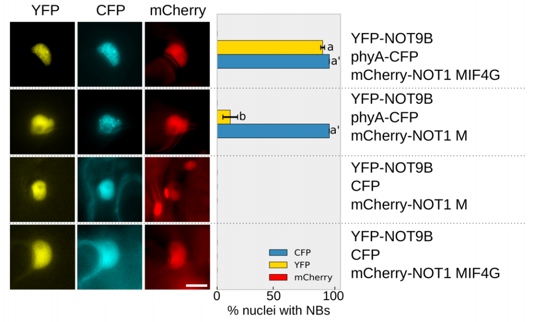 三个蛋白之间的关系如何研究？（一） - 知乎