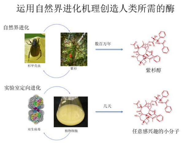 扮演上帝？创造生命奇迹的合成生物学（上） - 知乎