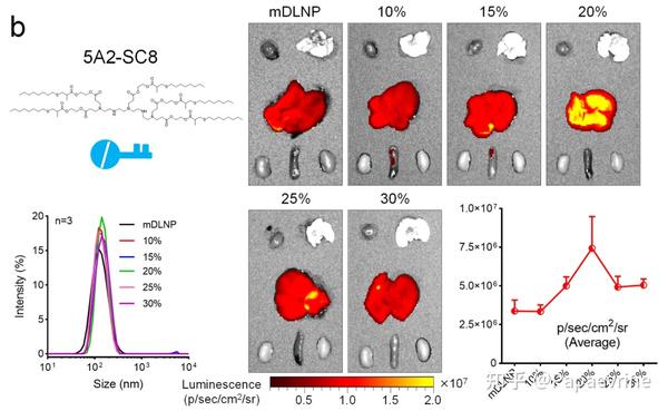 选择性器官靶向（SORT）纳米粒子用于组织特异性mRNA递送和CRISPR/Cas基因编辑（2021.09.07） - 知乎