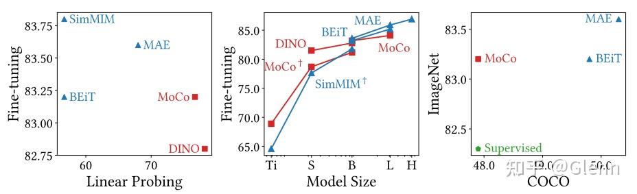 [论文阅读][ICLR'23] MIM | 理论：对比学习和掩蔽图像建模究竟有何不同？ - 知乎