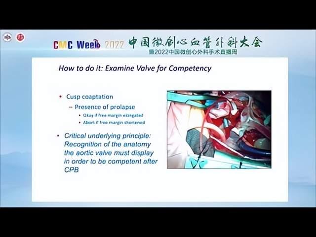 CMC Week 2022｜南昌线下大会盛大开幕 - 知乎