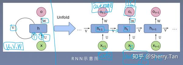 一文了解神经网络MLP(ANN), CNN, RNN - 知乎