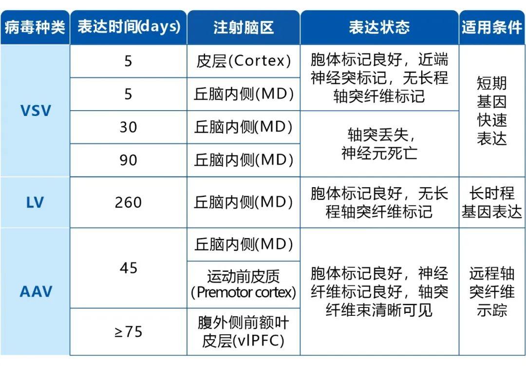 AAV、VSV和 LV在猕猴上的应用 - 知乎