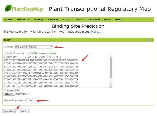 启动子查找以及转录因子结合位点预测 - 知乎