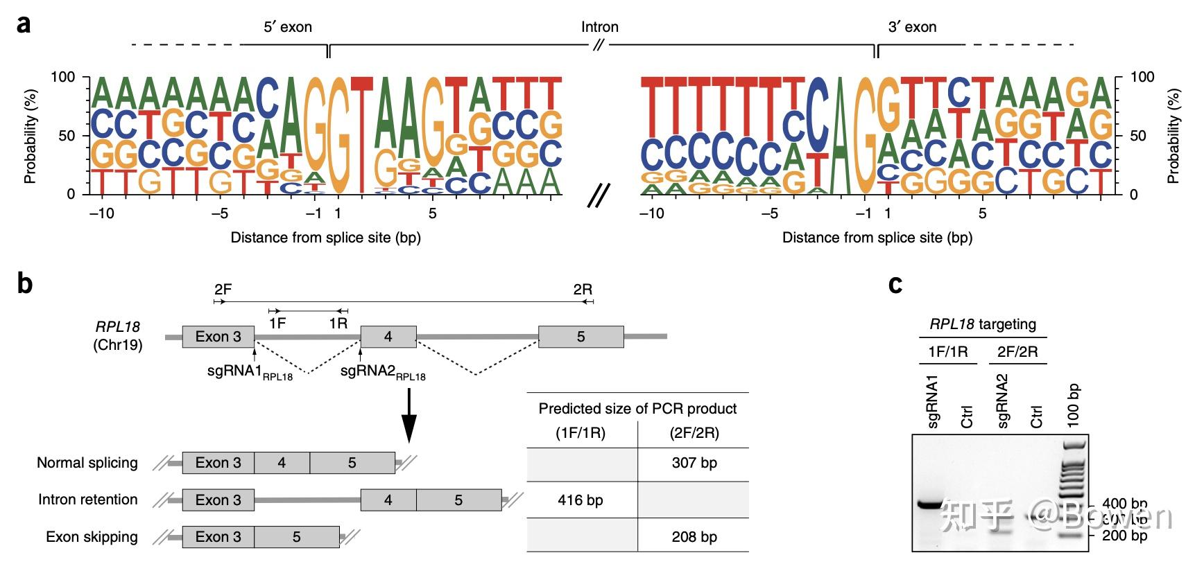 CRISPR-Cas9 Screen技术 - 知乎