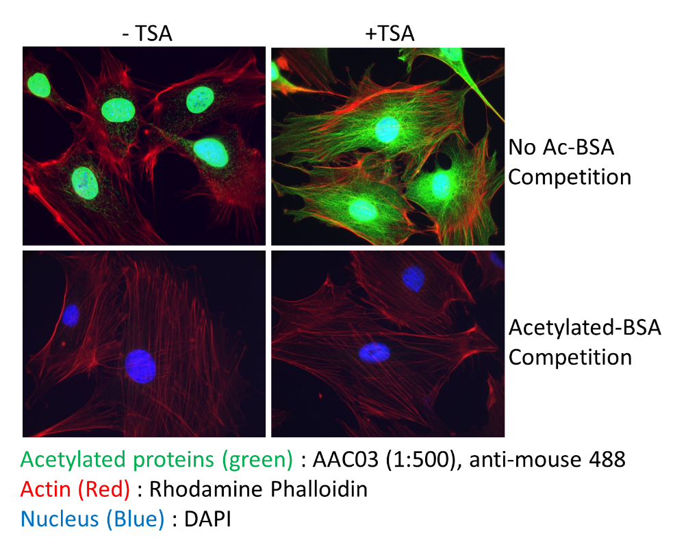 翻译后修饰（PTM）检测技术介绍 - 知乎