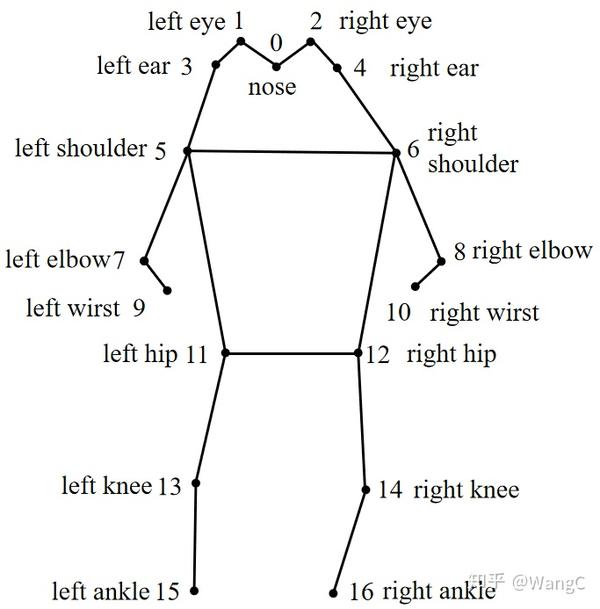 姿态估计数据集可视化【附代码】 - 知乎