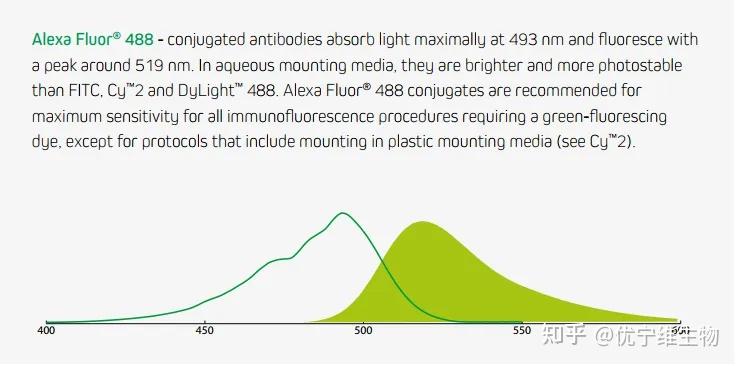 抗体荧光基团介绍和选择指南 - 知乎