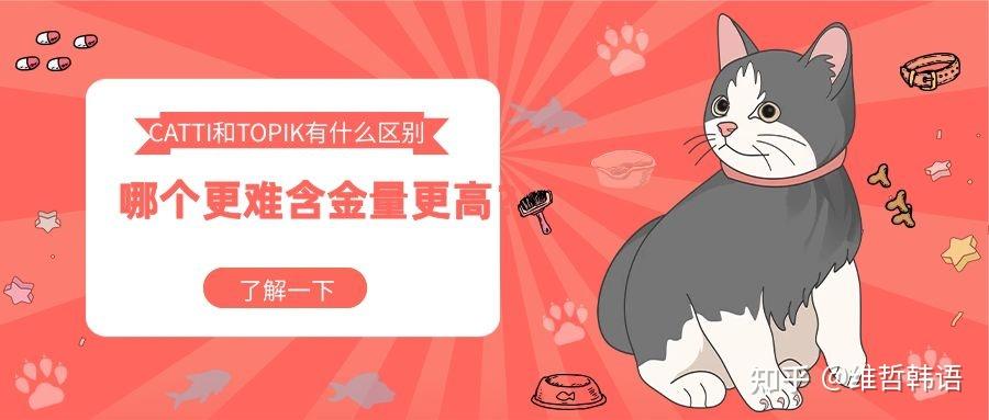 CATTI和TOPIK有什么区别，哪个更难含金量更高？ - 知乎