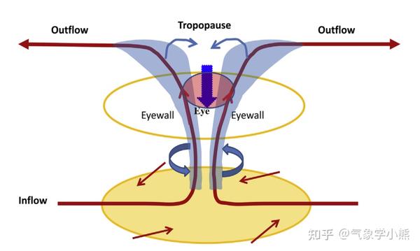 Tropical Cyclone Dynamics - 知乎