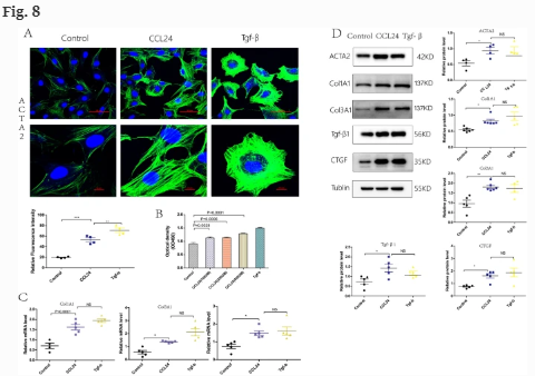 CCL24/CCR3轴通过刺激M2型巨噬细胞极化和成纤维细胞活化在Ang II诱导的心力衰竭中发挥核心作用 - 知乎