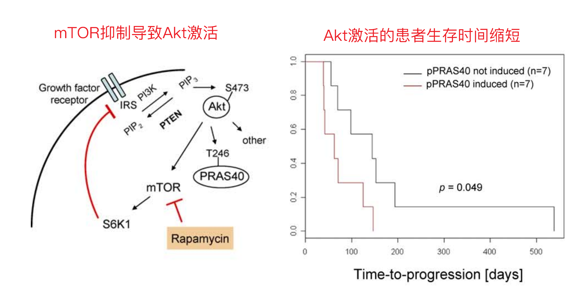 雷帕霉素(2)促癌：抑制mTOR反而促癌，是癌胞阴险还是神药无能？ - 知乎
