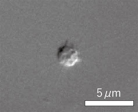 【古菌域全系列14】隐藻界Cryptista：隐于世间而影响世界 - 知乎