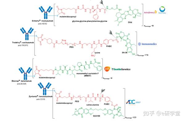 深度盘点FDA批准用于癌症治疗的抗体偶联药物（ADC） - 知乎