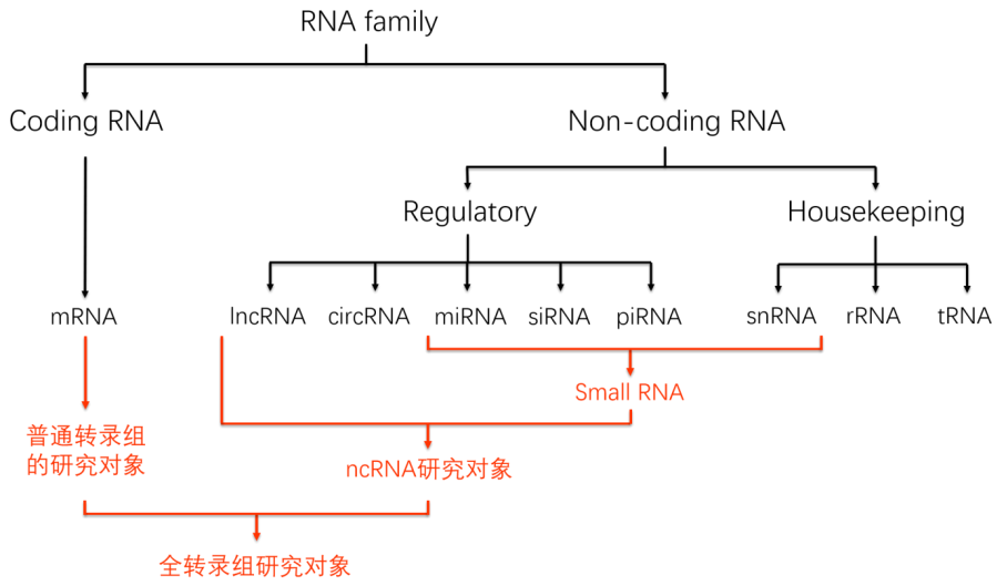 转录调控专题 | 概念篇：转录组学介绍及应用 - 知乎