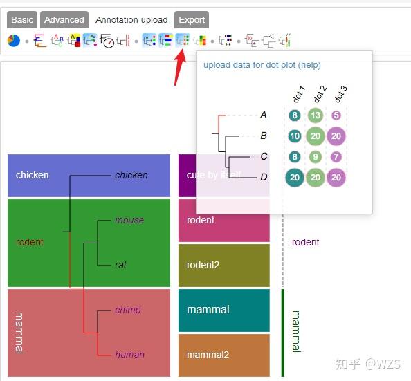 进化树美化——evolview基本命令速查与教程 - 知乎