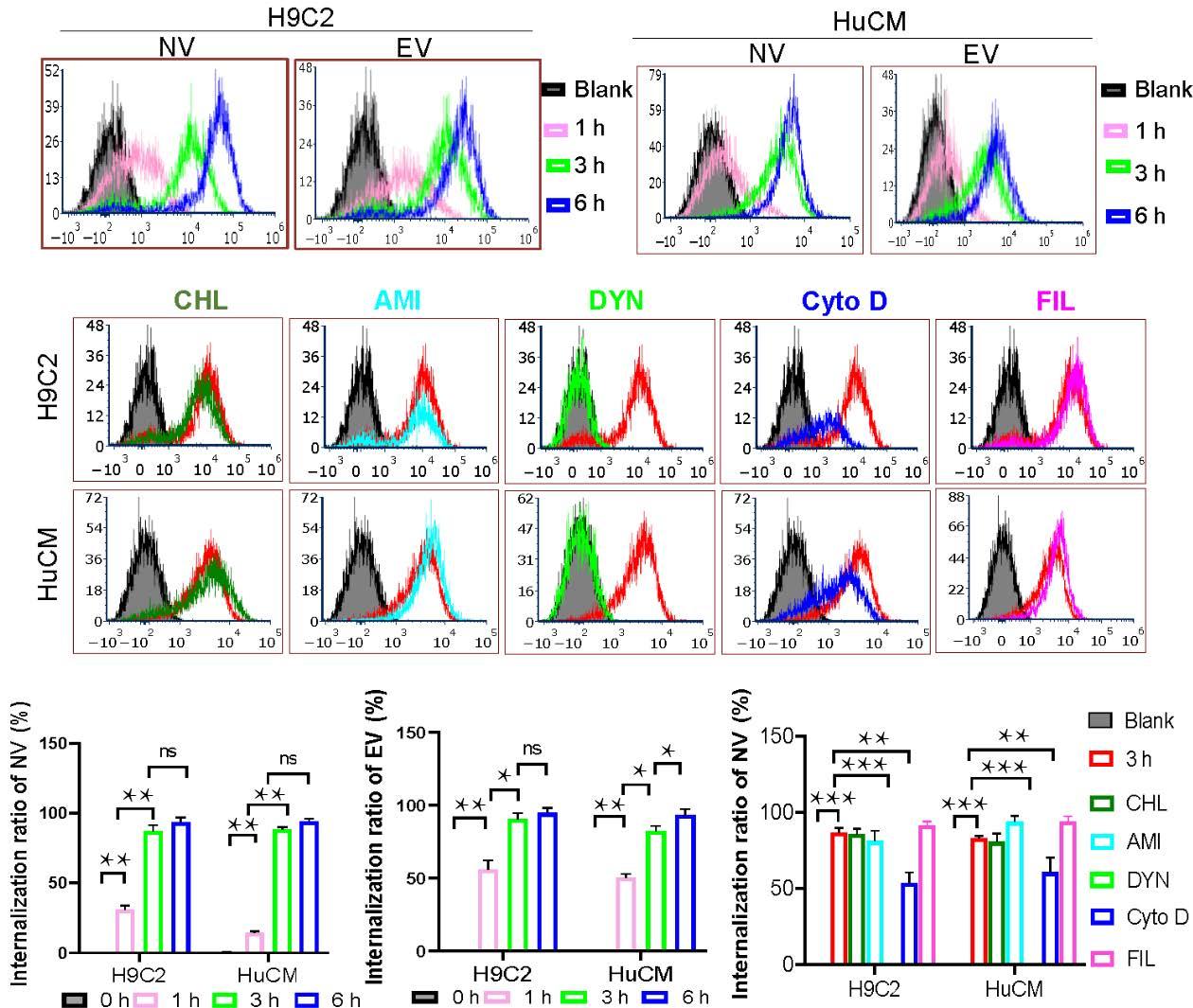 NVs or EVs，哪个更适合疾病治疗？ - 知乎