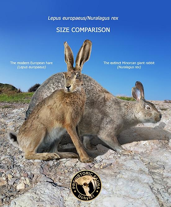 冰河世纪的动物祖先，和现在到底有啥不同？ - 知乎