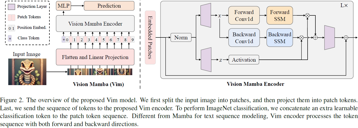 （2024，ViM，双向 SSM 骨干，序列建模）利用双向状态空间模型进行高效视觉表示学习 - 知乎