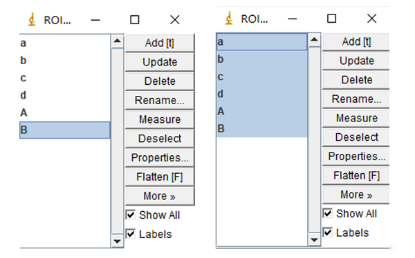 免疫荧光图片Merge，荧光强度统计PS+ImageJ - 知乎