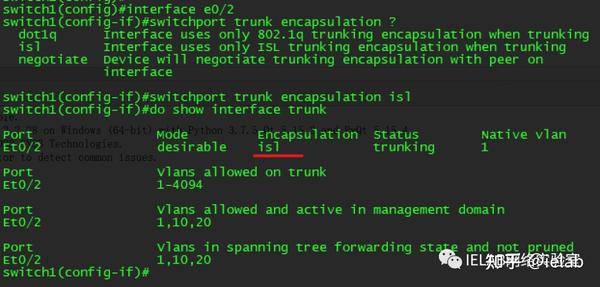 交换基础trunk超详细实例讲解，@所有人速度敲起来 - 知乎