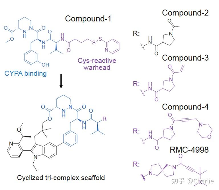 1-2 药化视角_RMC6236 - 知乎