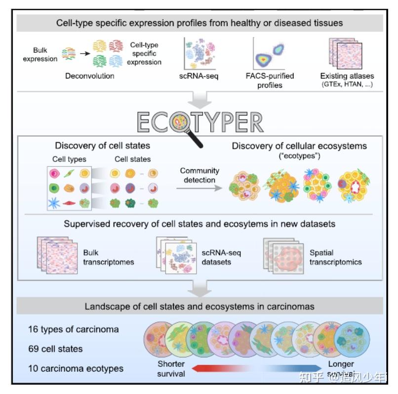 10X单细胞空间数据分析之表征细胞状态和生态型（EcoTyper） - 知乎
