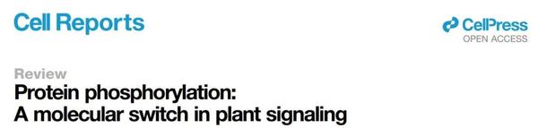 Cell Rep | 福建农林大学徐通达组综述植物磷酸化事件发生研究进展 - 知乎