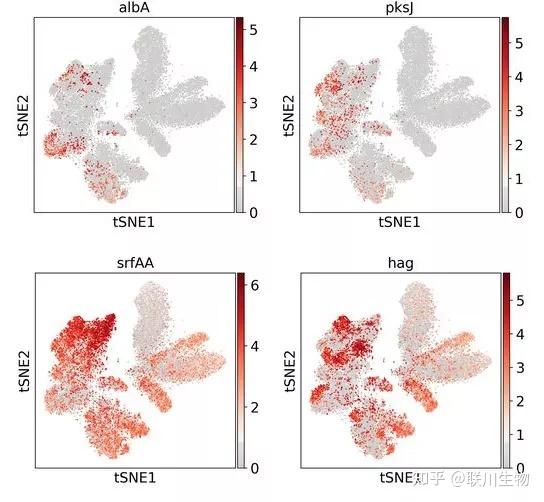 【干货】高分SCI要用tSNE还是UMAP？ - 知乎