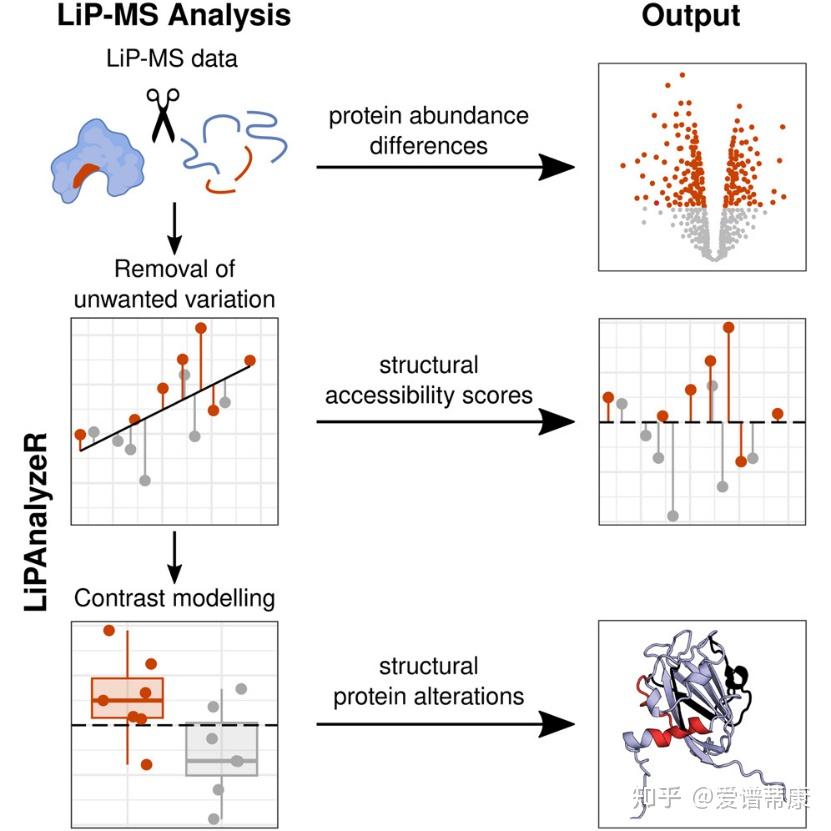 LiP-MS质谱数据分析策略—LiPAnalyzeR - 知乎