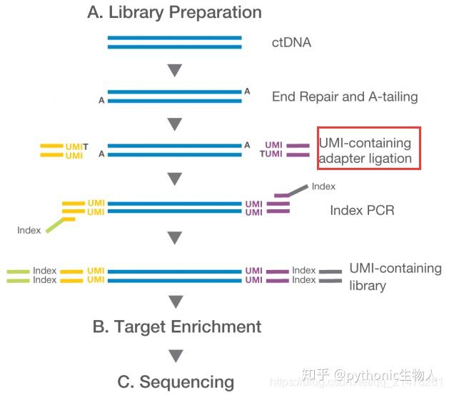 Omics精进05|临床Gene Panel检测-实验&&生物信息学分析（带UMI标签） - 知乎