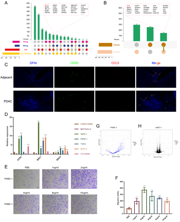 项目文章丨单细胞测序揭示胰腺癌中T细胞和肿瘤细胞相互作用机理 - 知乎