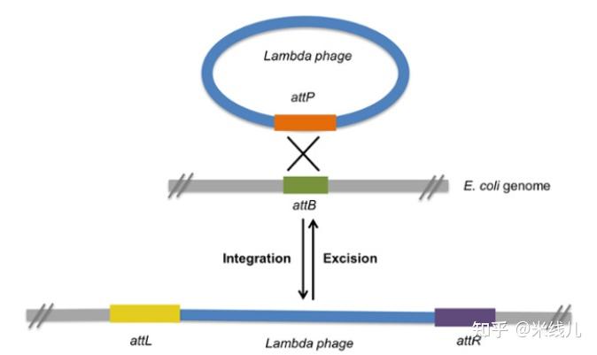 Gateway克隆技术简介 - 知乎