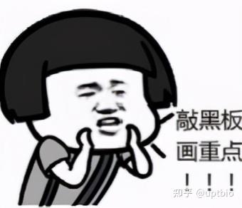 【实用干货】新手入门：CHIP、RIP、CoIP技术科普 - 知乎